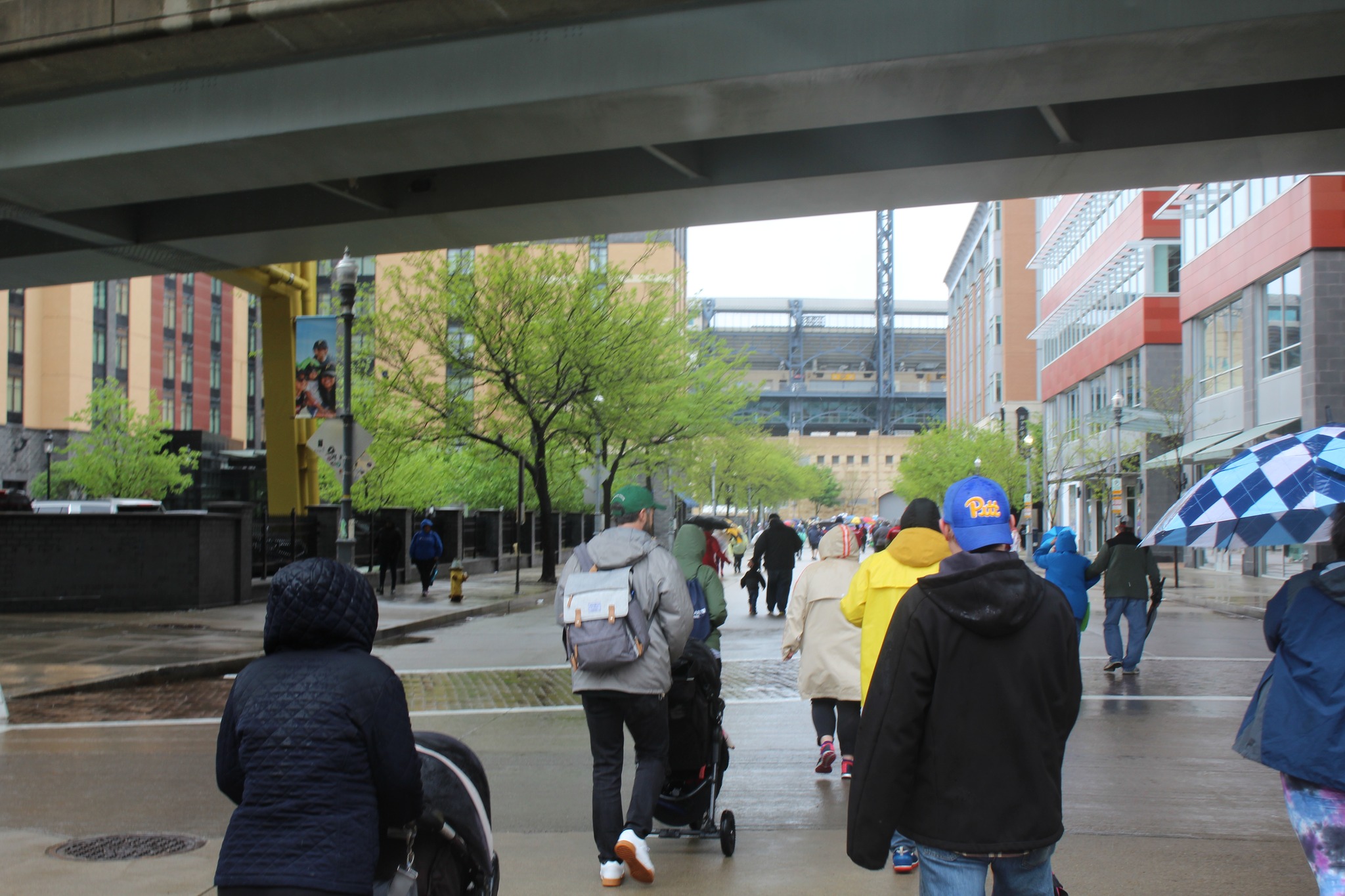 Walk with TEP at the Highmark Walk 2023 – The Education Partnership